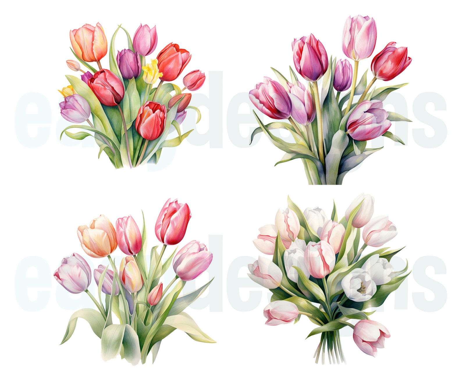 24 Tulip Flowers Watercolor Clipart Bundle, Transparent Background PNG ...