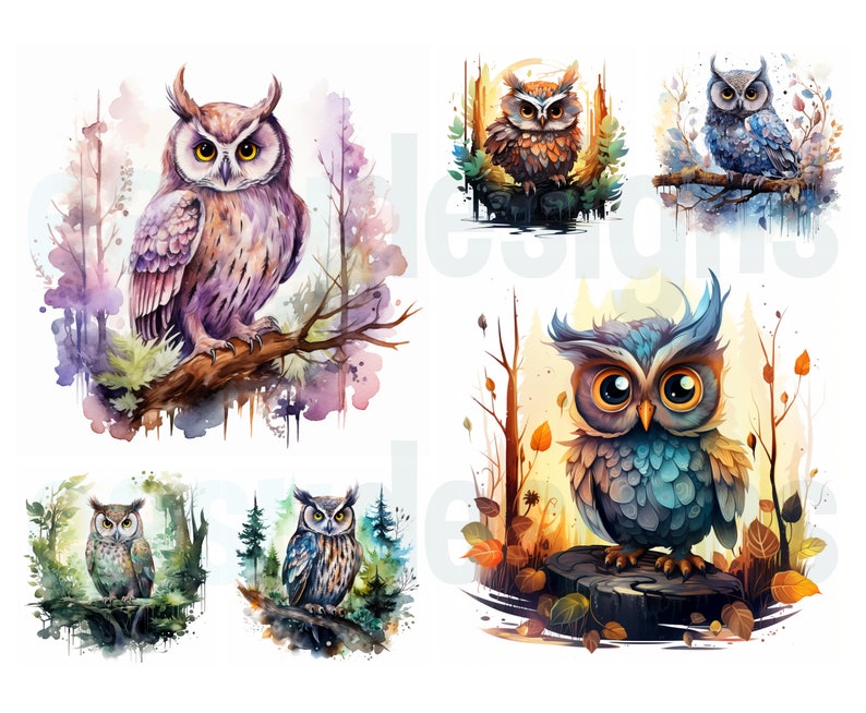52 Watercolor Forest Owls Clipart Bundle, Digital Graphics, Instant ...