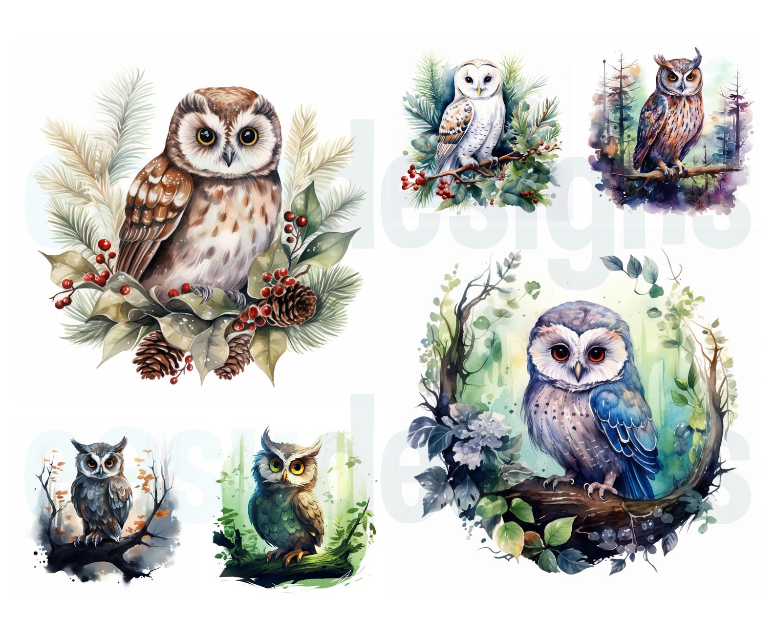 52 Watercolor Forest Owls Clipart Bundle, Digital Graphics, Instant ...