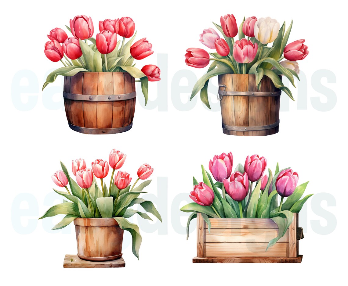 24 Tulip Flowers Watercolor Clipart Bundle, Transparent Background PNG ...