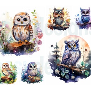 52 Watercolor Forest Owls Clipart Bundle, Digital Graphics, Instant ...