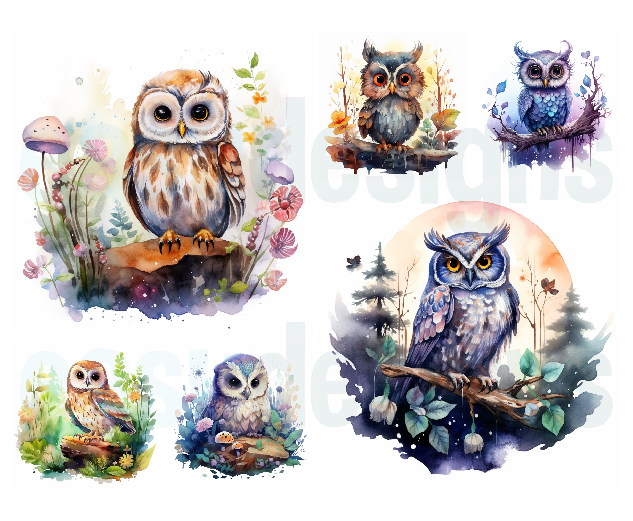 52 Watercolor Forest Owls Clipart Bundle, Digital Graphics, Instant ...