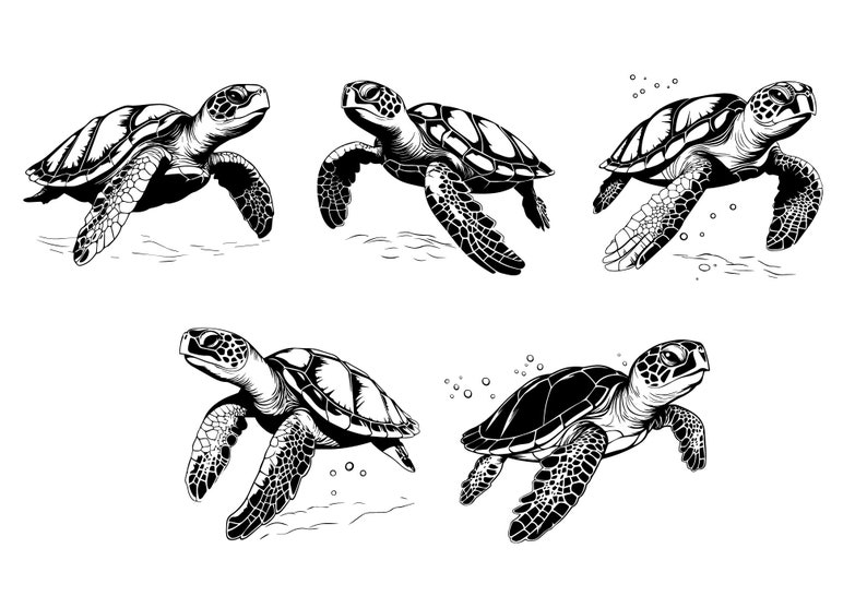 5 Turtle Svg Vector Clipart Bundle, Transparent Background, Instant ...