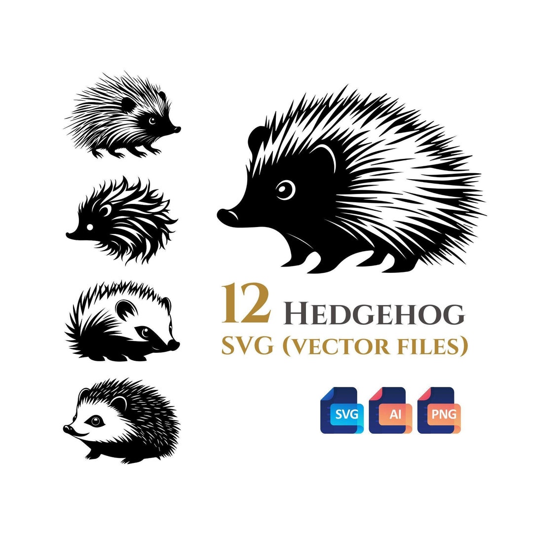 12 Hedgehog Svg Vector Clipart Bundle, Transparent Background, Instant ...