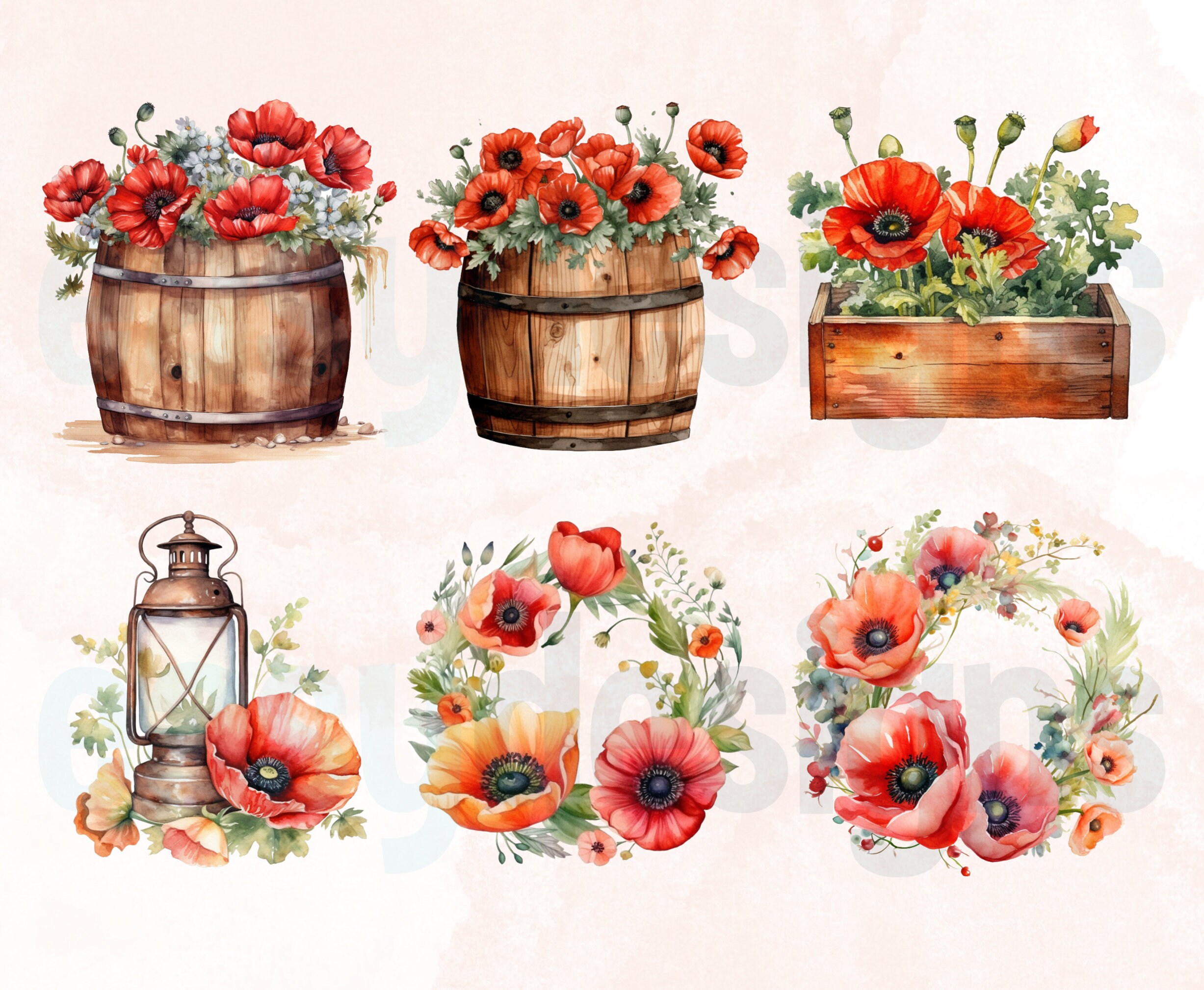 21 Poppy Flowers Watercolor Clipart Transparent PNG Floral - Etsy