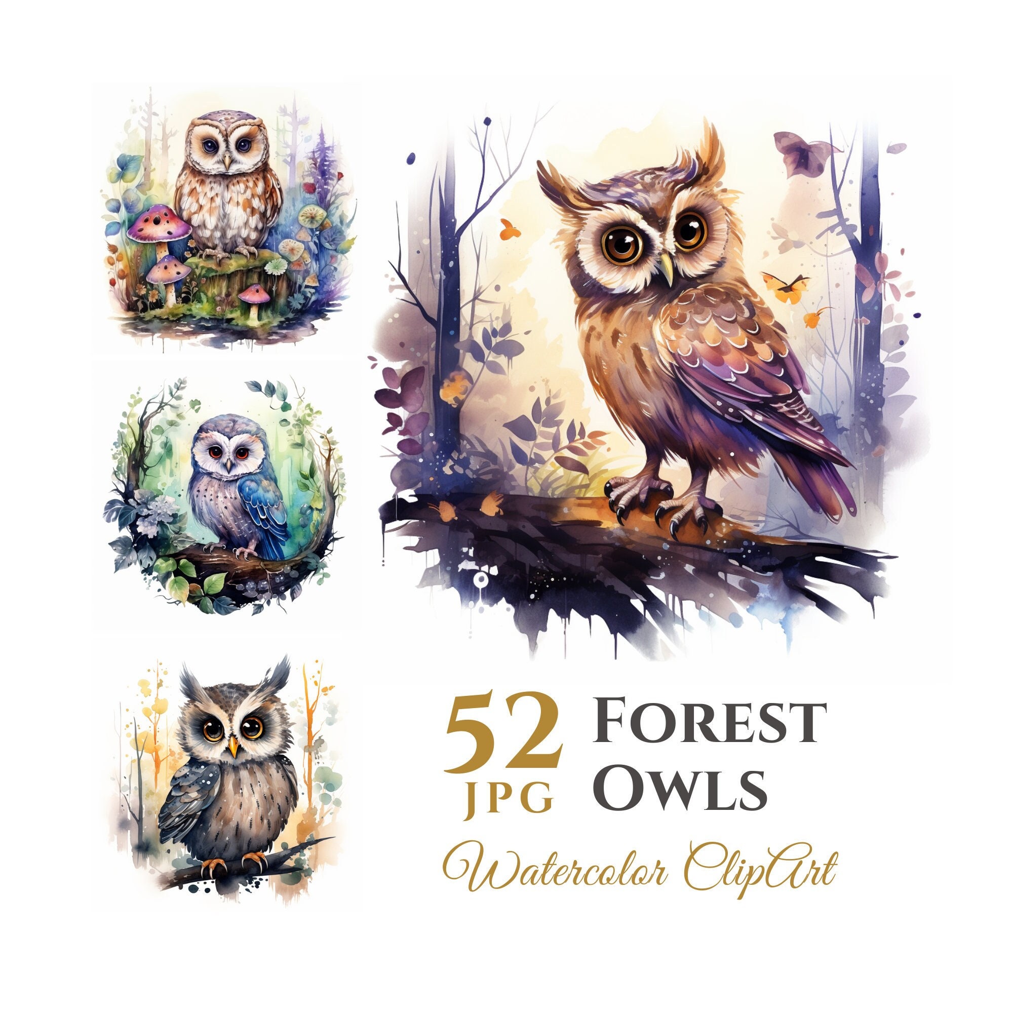 52 Watercolor Forest Owls Clipart Bundle, Digital Graphics, Instant ...