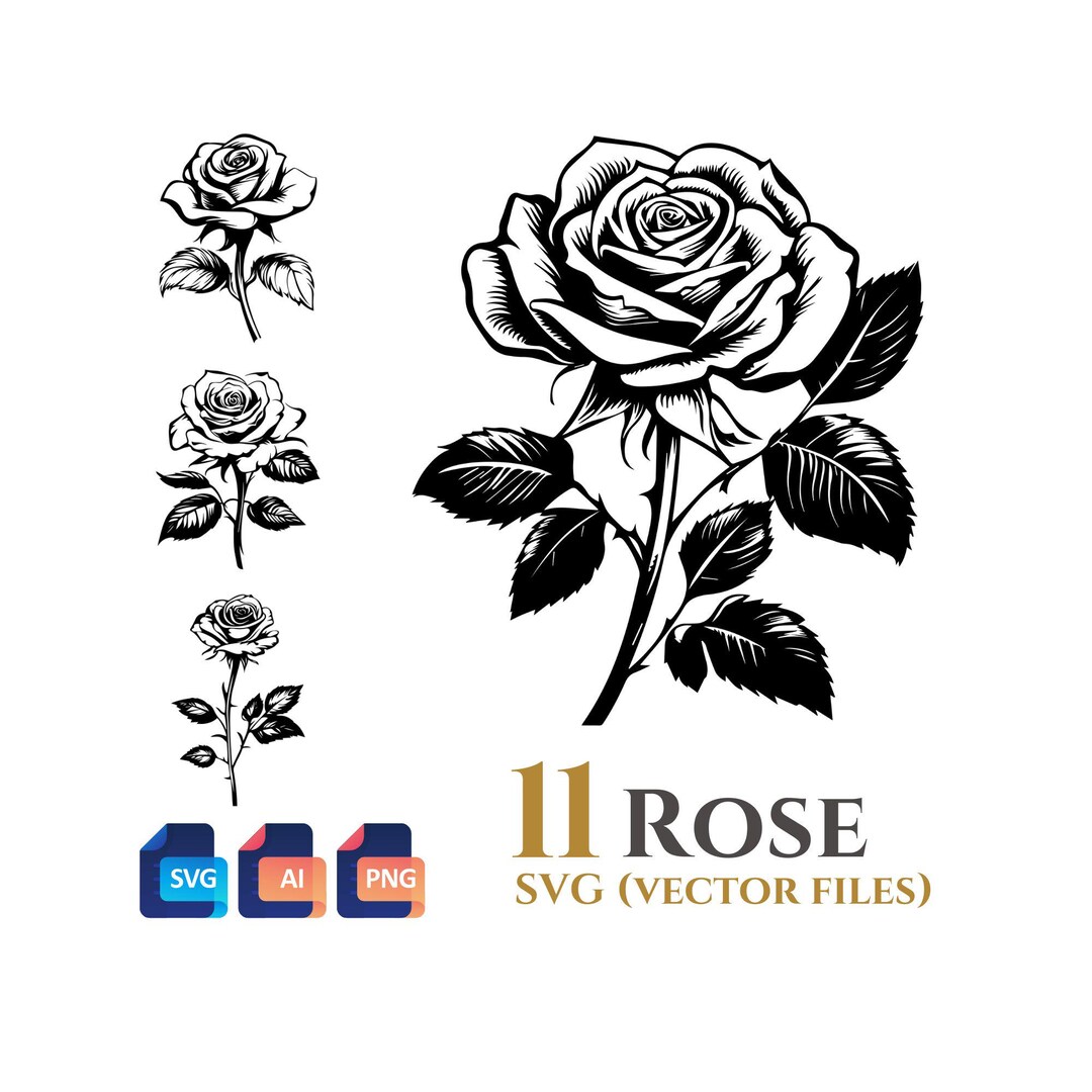 11 Rose Flower Svg Vector Clipart Bundle, Transparent Background ...
