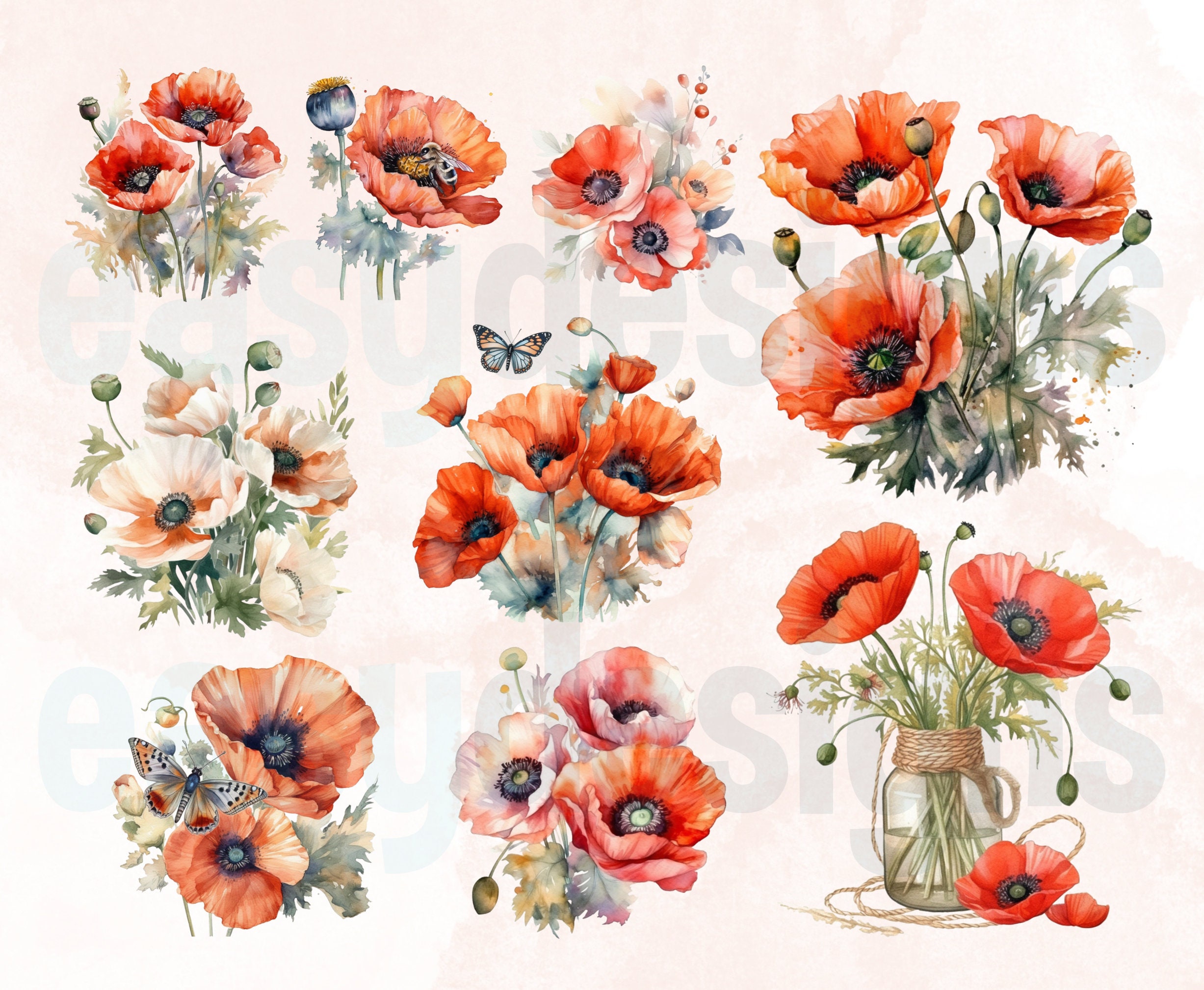 21 Poppy Flowers Watercolor Clipart Transparent PNG Floral - Etsy