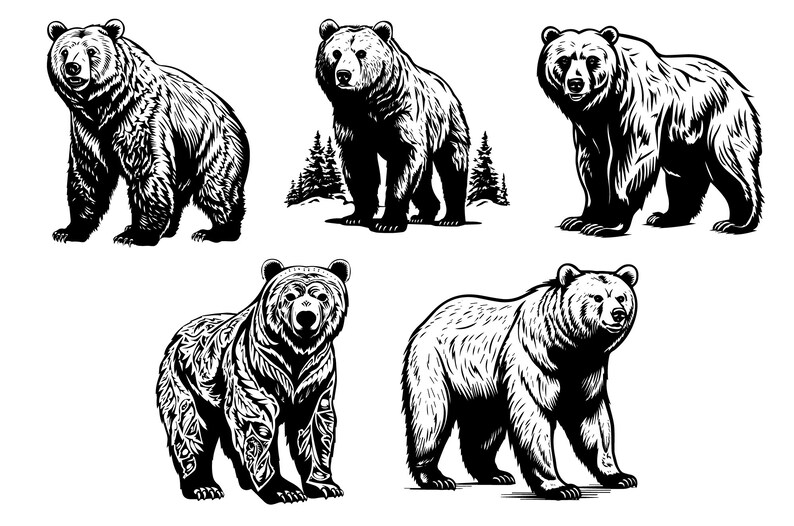5 Bear Svg Vector Clipart Bundle, Transparent Background, Instant ...