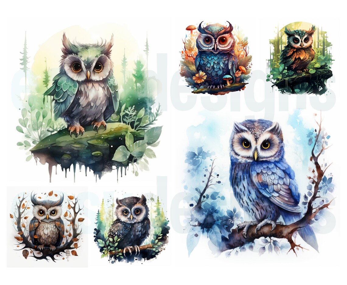 52 Watercolor Forest Owls Clipart Bundle, Digital Graphics, Instant ...
