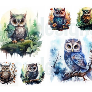 52 Watercolor Forest Owls Clipart Bundle, Digital Graphics, Instant ...