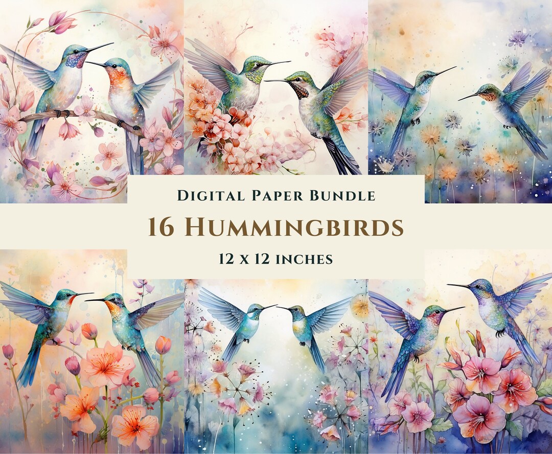 16 Hummingbird Printable Digital Paper Bundle, Instant Download ...
