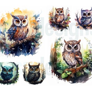 52 Watercolor Forest Owls Clipart Bundle, Digital Graphics, Instant ...