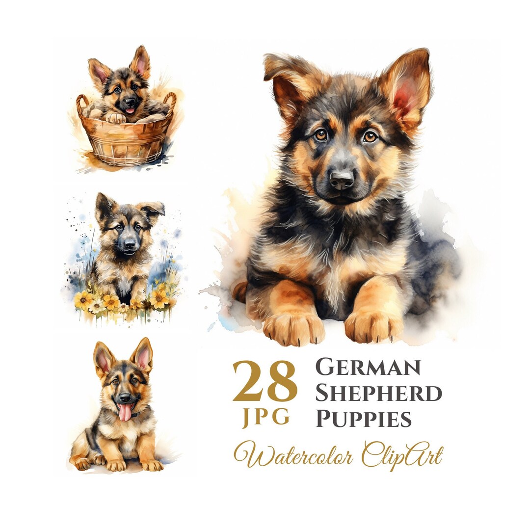 28 Watercolor German Shepherd Puppies Clipart Bundle, Digital Graphics ...