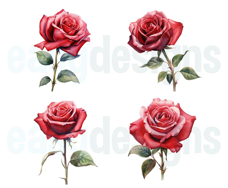 16 Watercolor Red Roses Floral Clipart Bundle Digital - Etsy