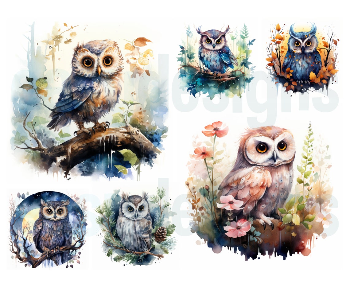 52 Watercolor Forest Owls Clipart Bundle, Digital Graphics, Instant ...