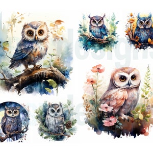 52 Watercolor Forest Owls Clipart Bundle, Digital Graphics, Instant ...
