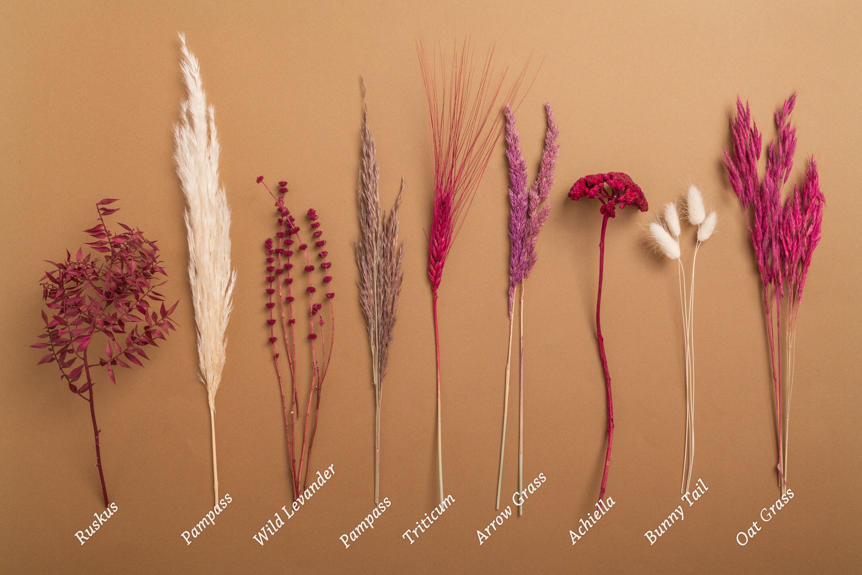 Burgundy DIY Dried Natural Flower Bouquet for Boho and - Etsy