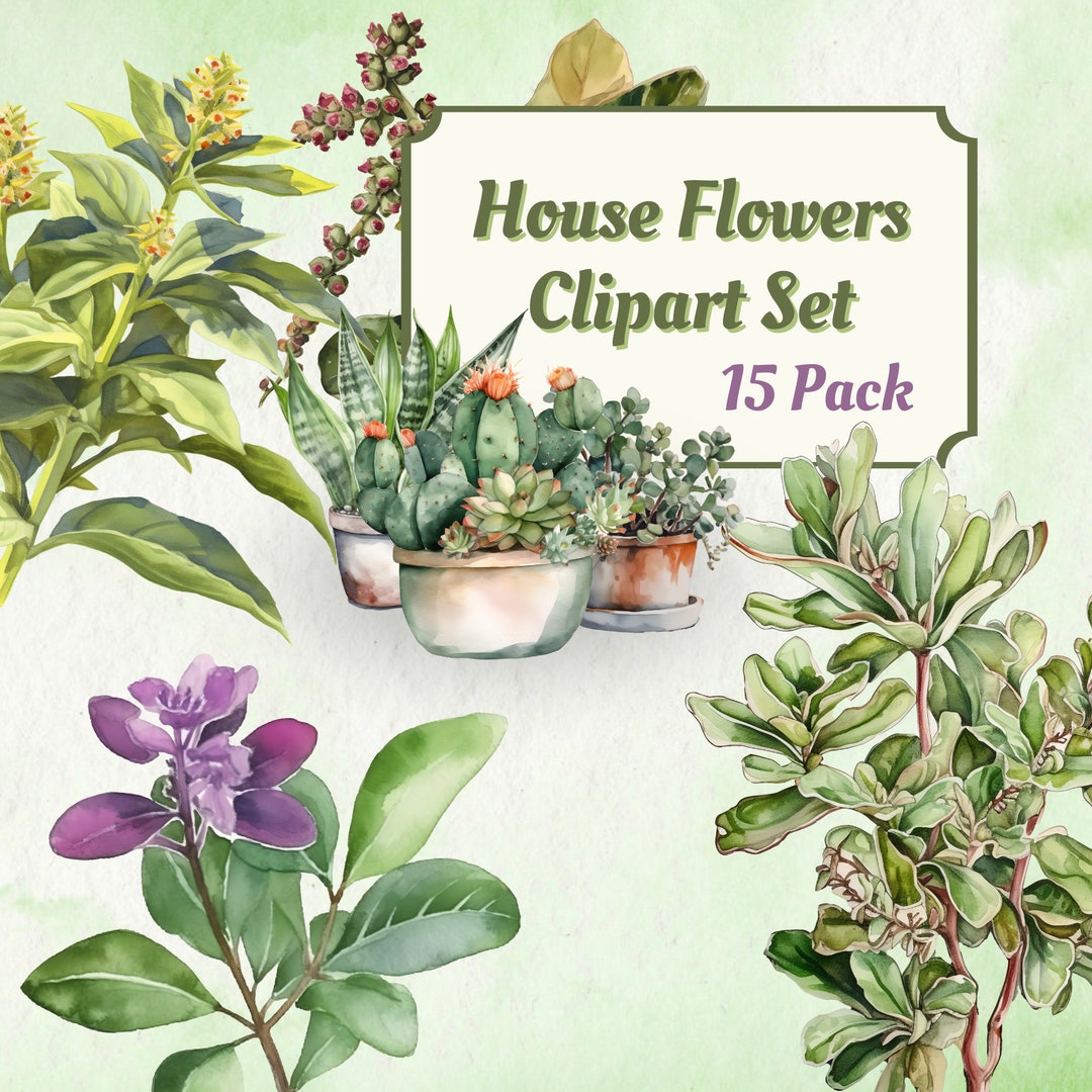 House Plant, Watercolor Clipart, Plant Illustration, Plants Clipart ...