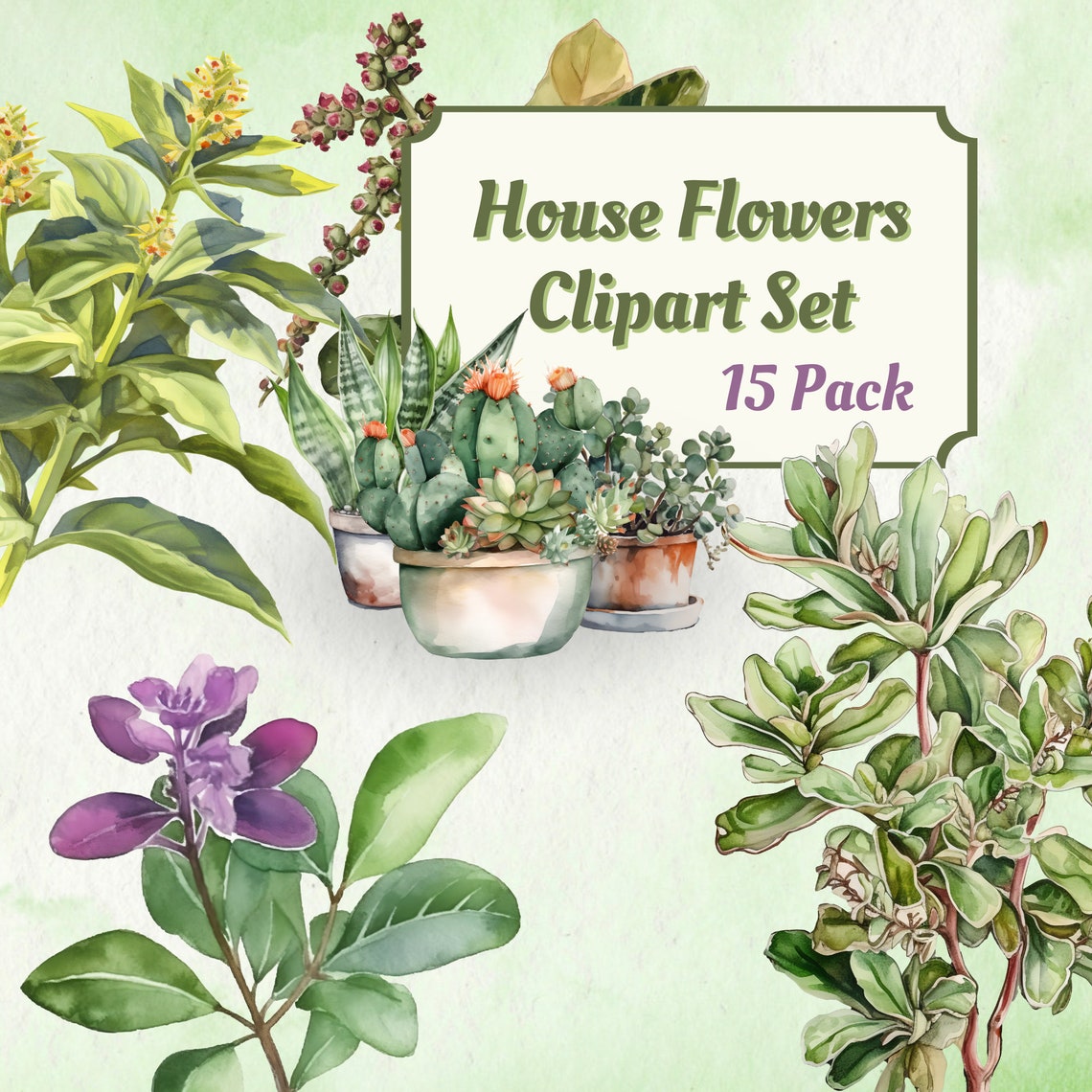 House Plant, Watercolor Clipart, Plant Illustration, Plants Clipart ...