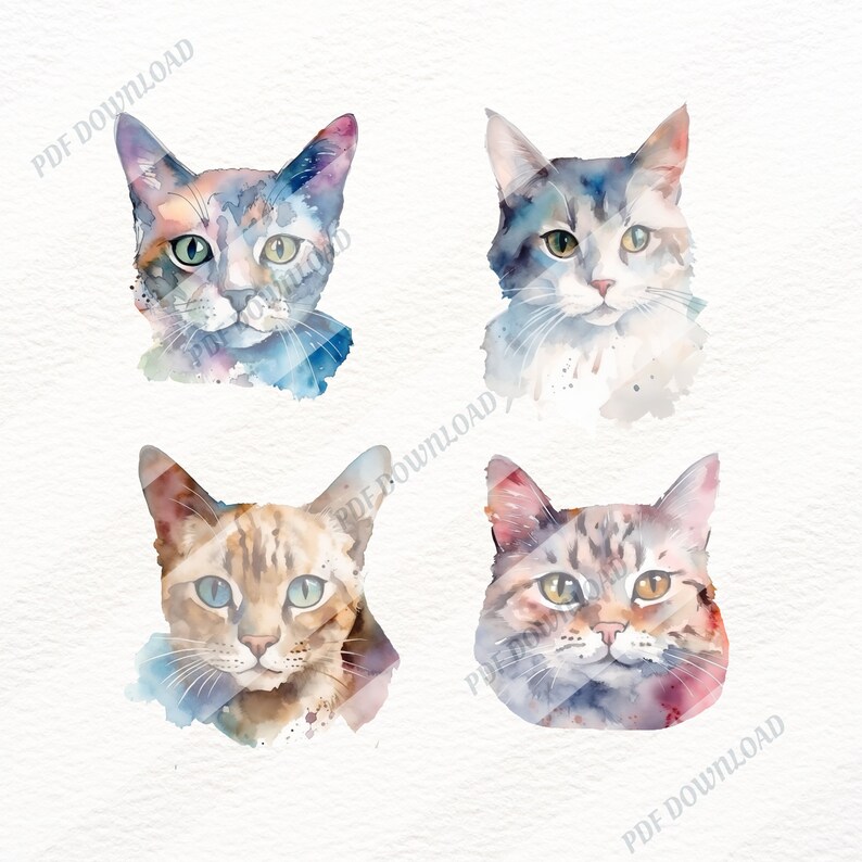 Cats Clipart Bundle, 12 PNG Cute Cats PNG, Pets Clipart, Cat Breed ...