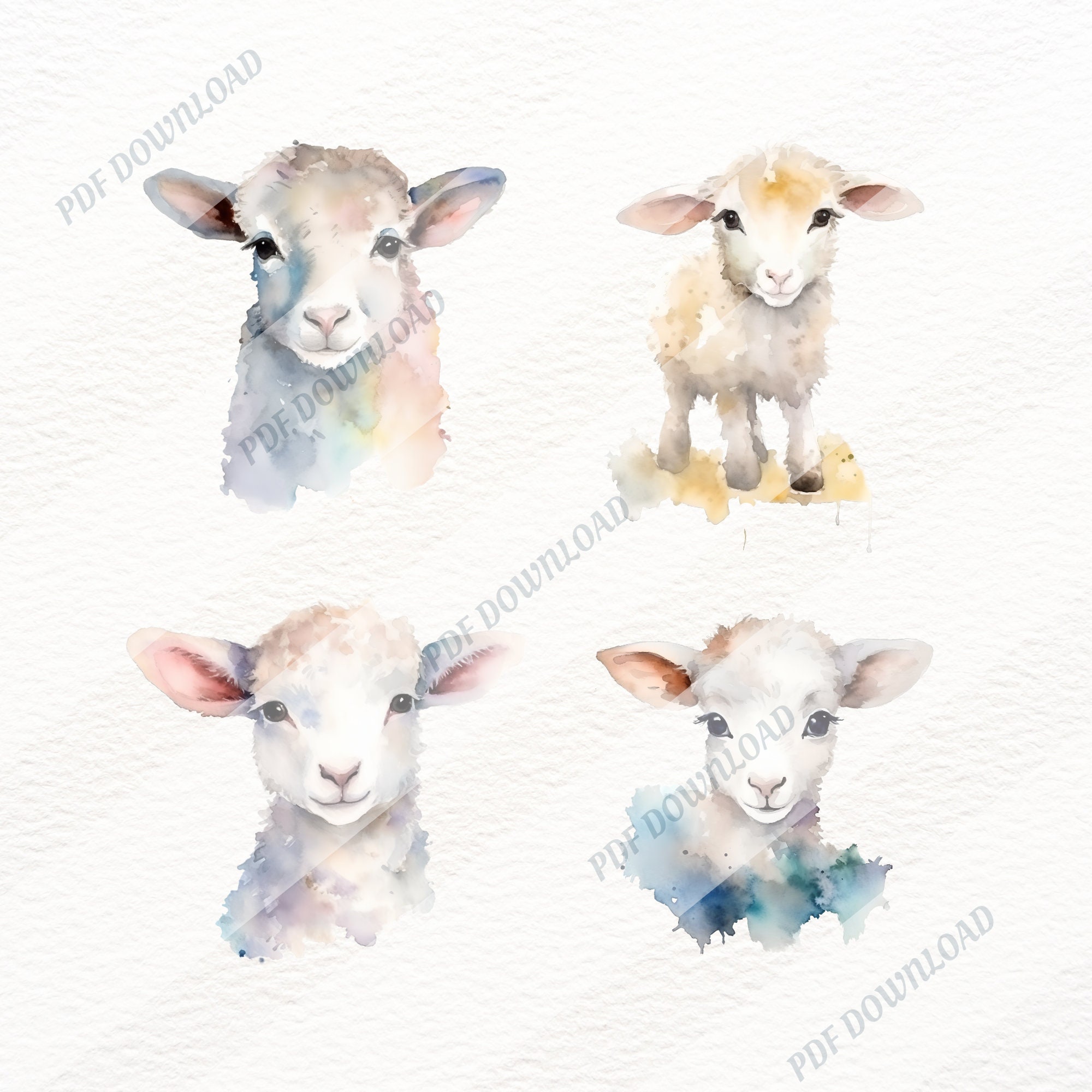 Baby Lamb Clipart, 8 Lamb PNG, Baby Animals, Farm Animals PNG, Baby ...