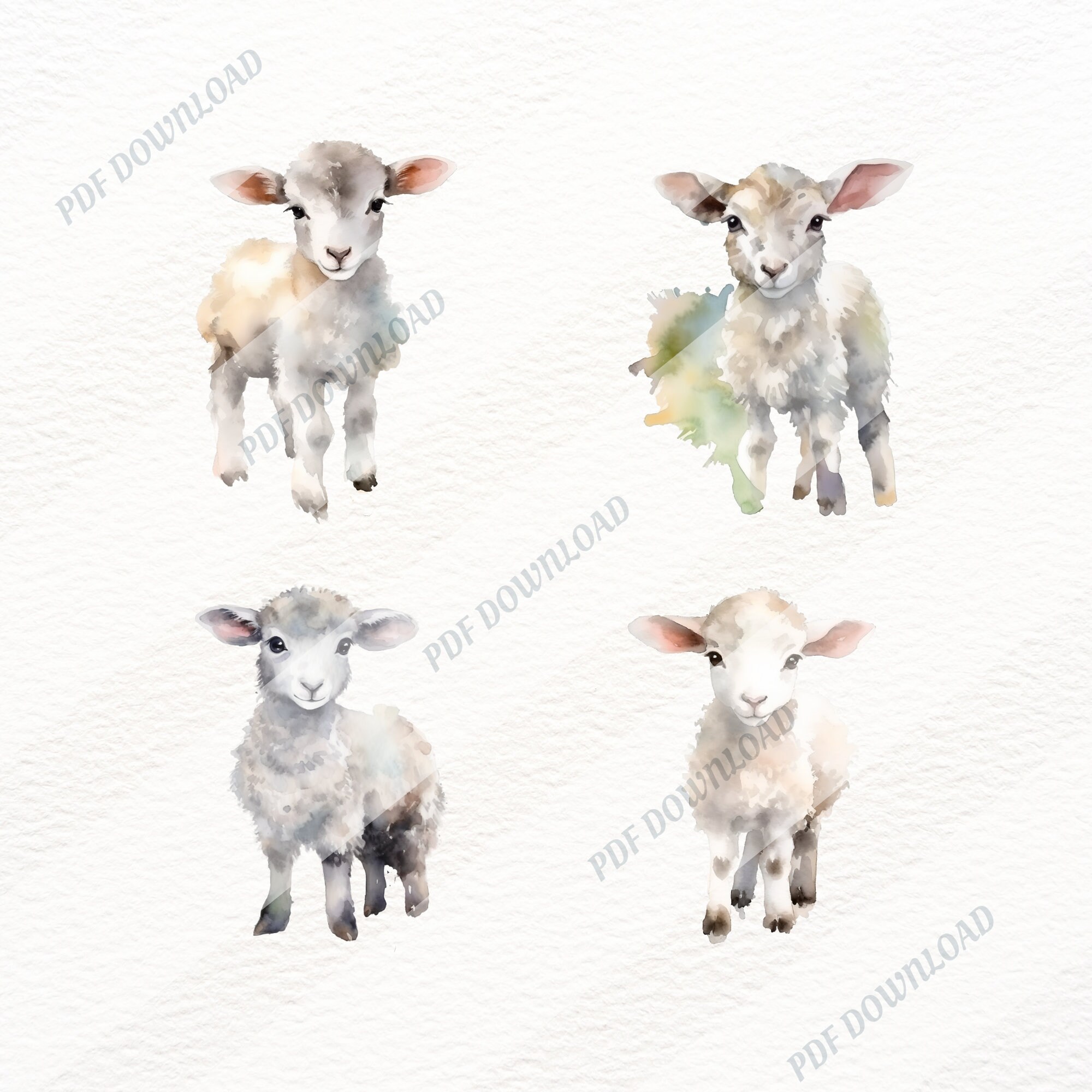 Baby Lamb Clipart, 8 Lamb PNG, Baby Animals, Farm Animals PNG, Baby ...