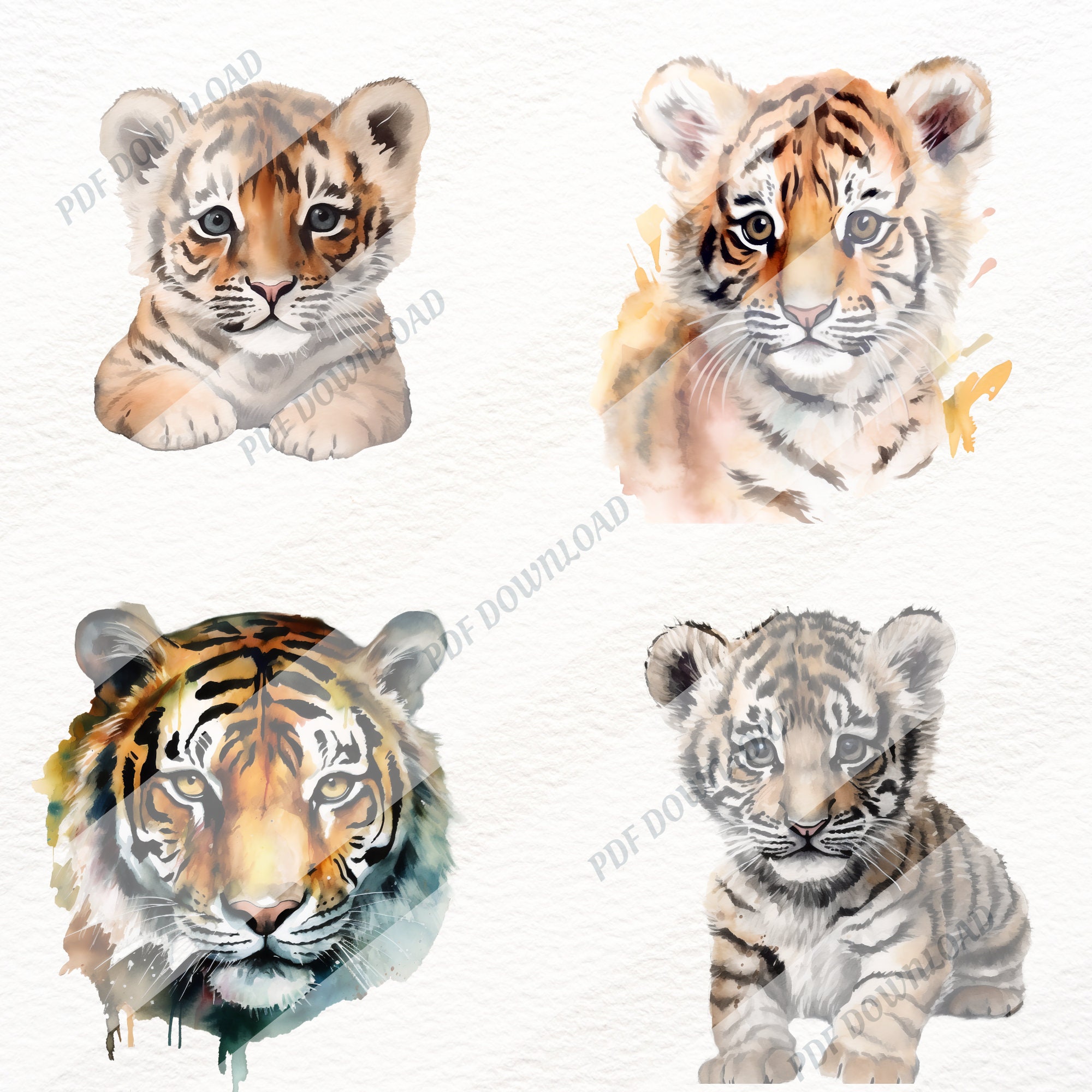 Tiger Watercolor Clipart 12 Tiger Png Illustrations Cute - Etsy