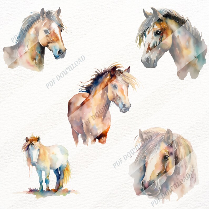 Horse Watercolor Clipart, 10 Horse Png Illustrations, Farm Animals Png ...
