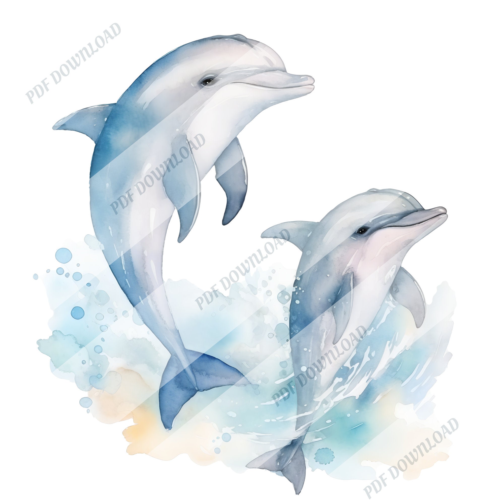 Dolphin Watercolor Clipart, Watercolor Painting, Watercolor Art ...