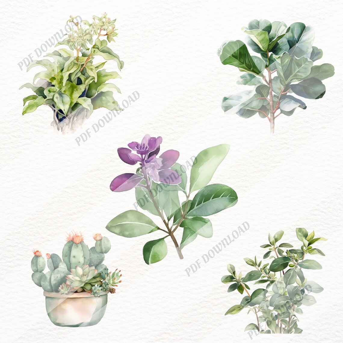 House Plant, Watercolor Clipart, Plant Illustration, Plants Clipart ...