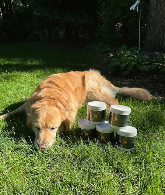 Chill Out Chews: Natural Calming Soft Chews for Anxious or Hyperactive Dogs