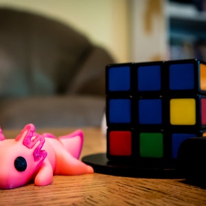 Axolotl Fidget Toy - Etsy