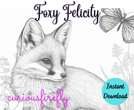 Felicity Coloring Pages