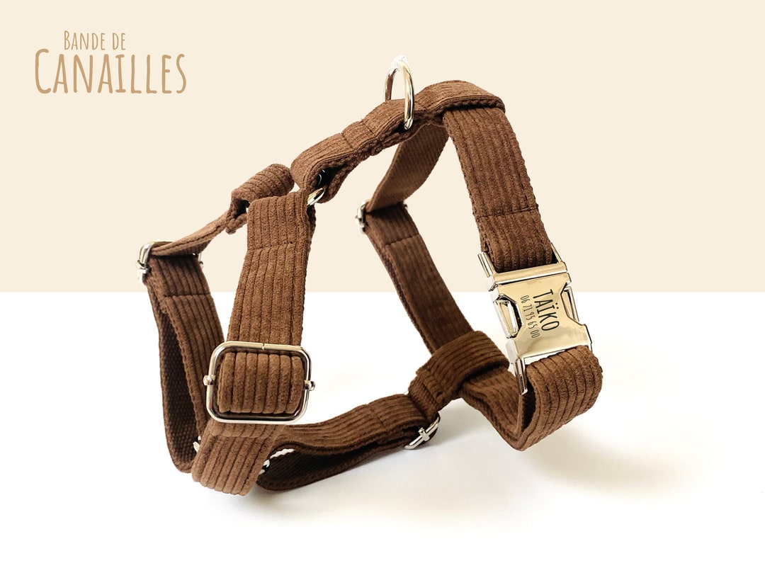 Personalized Puppy Harness / Chocolate Corduroy / Personalized Dog Gift ...