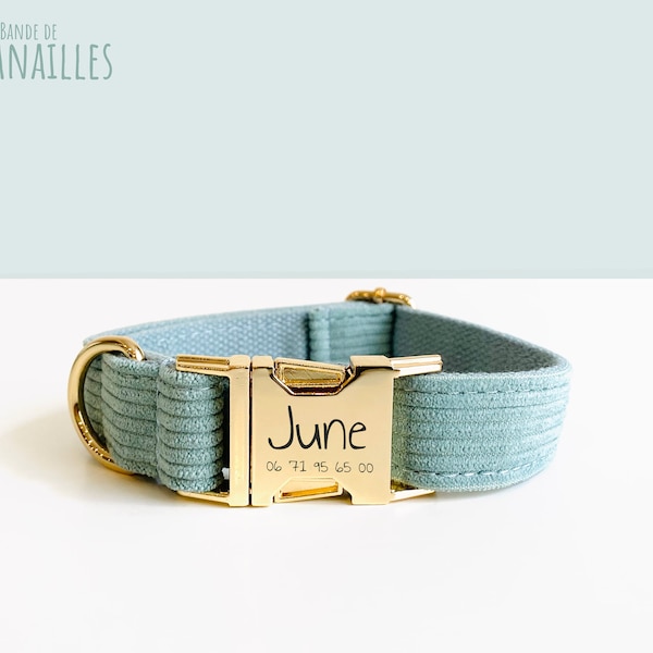 Personalized Dog Accessories - Etsy