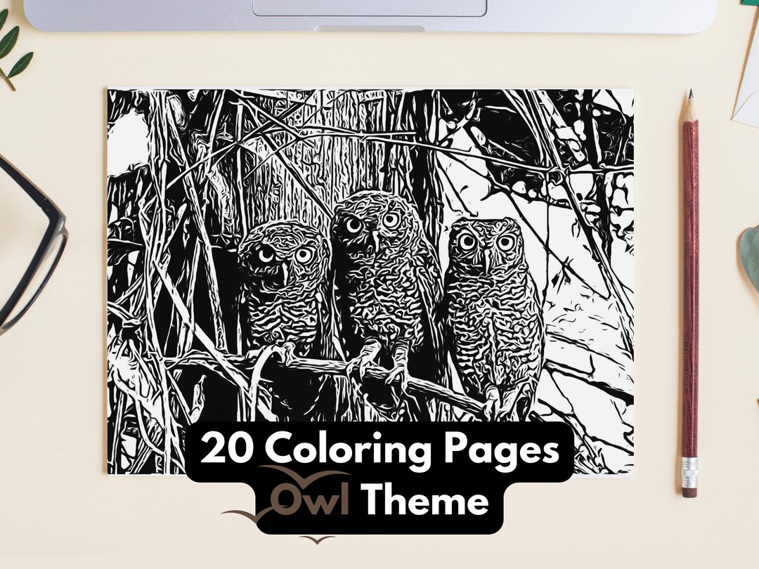 20 HQ Owl Coloring Pages | Perfect for Animal Lovers (cute and Relaxing ...
