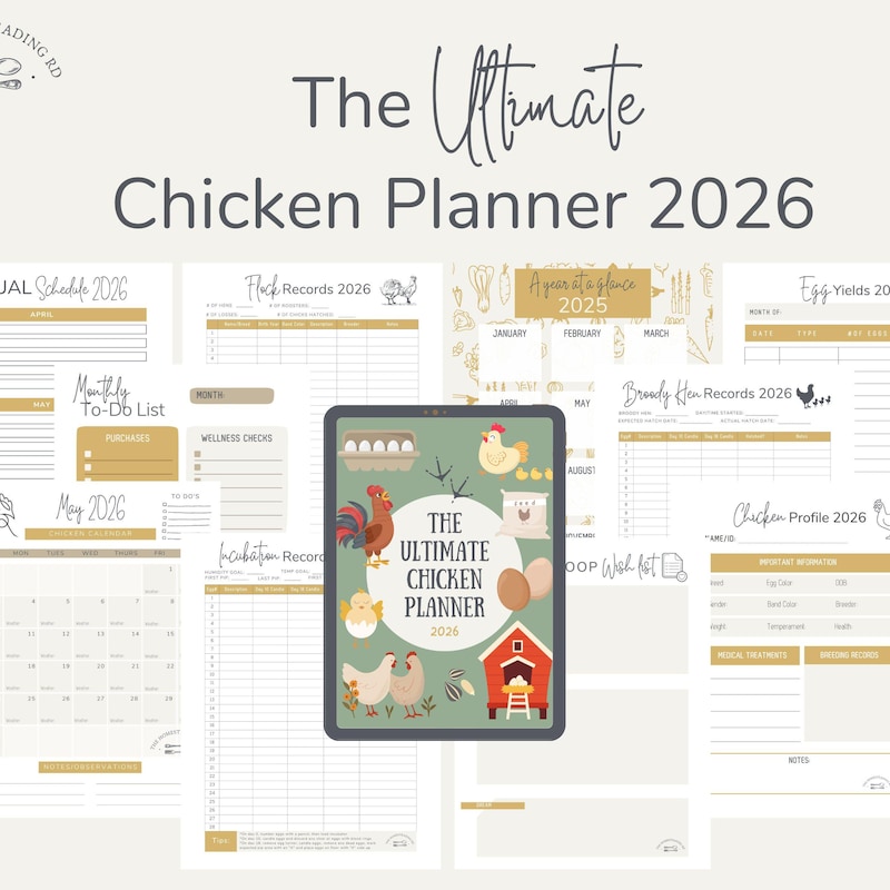 Chicken Calendar 2026 - Etsy