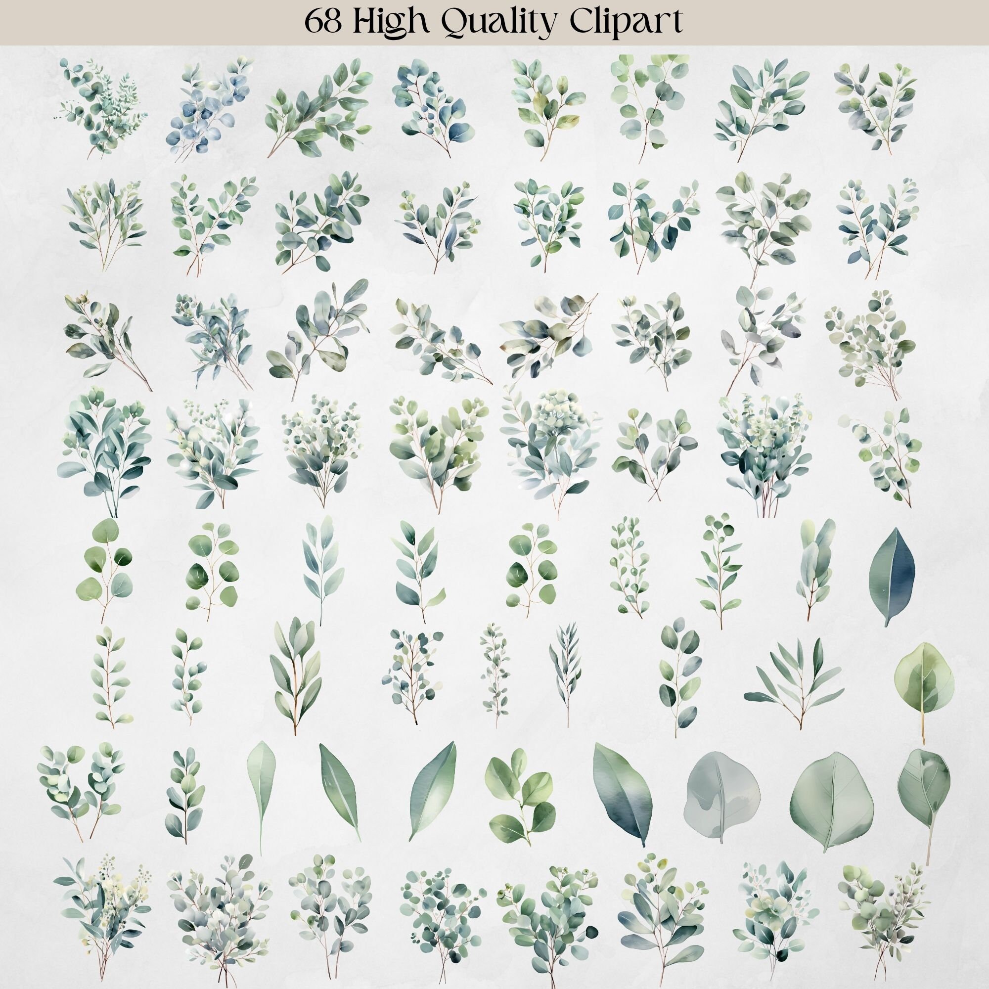 Eucalyptus Branch Png, Watercolor Eucalyptus Clipart Bundle, Greenery ...