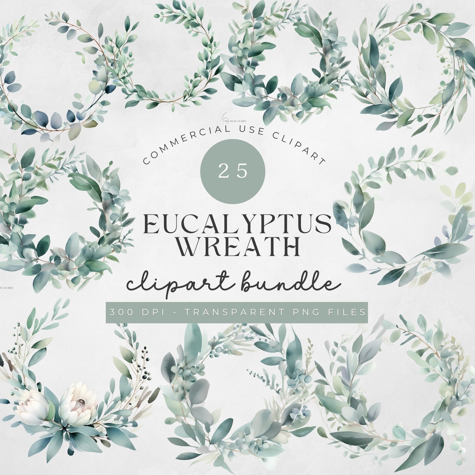 Eucalyptus PNG, Watercolor Eucalyptus Clipart Bundle, Greenery Clipart ...