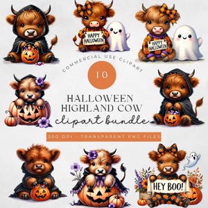 10 Cute Halloween Theme Baby Highland Cow Clipart, Happy Halloween Png ...
