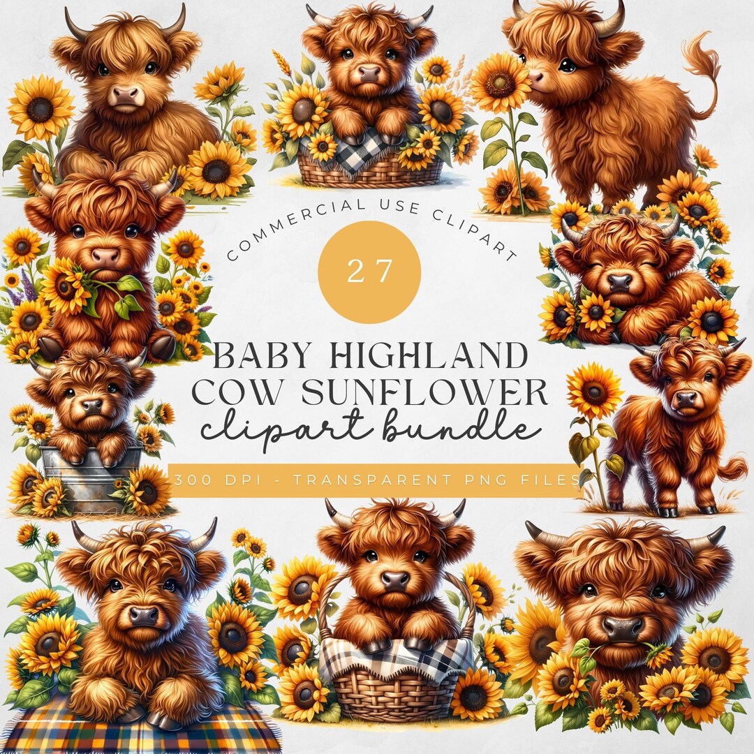Watercolor Sunflower Highland Cows Collection Clipart, PNG Spring ...