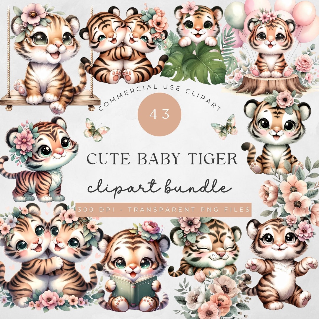Baby Tiger Clipart Bundle: Safari Animal Graphics (PNG) - Etsy