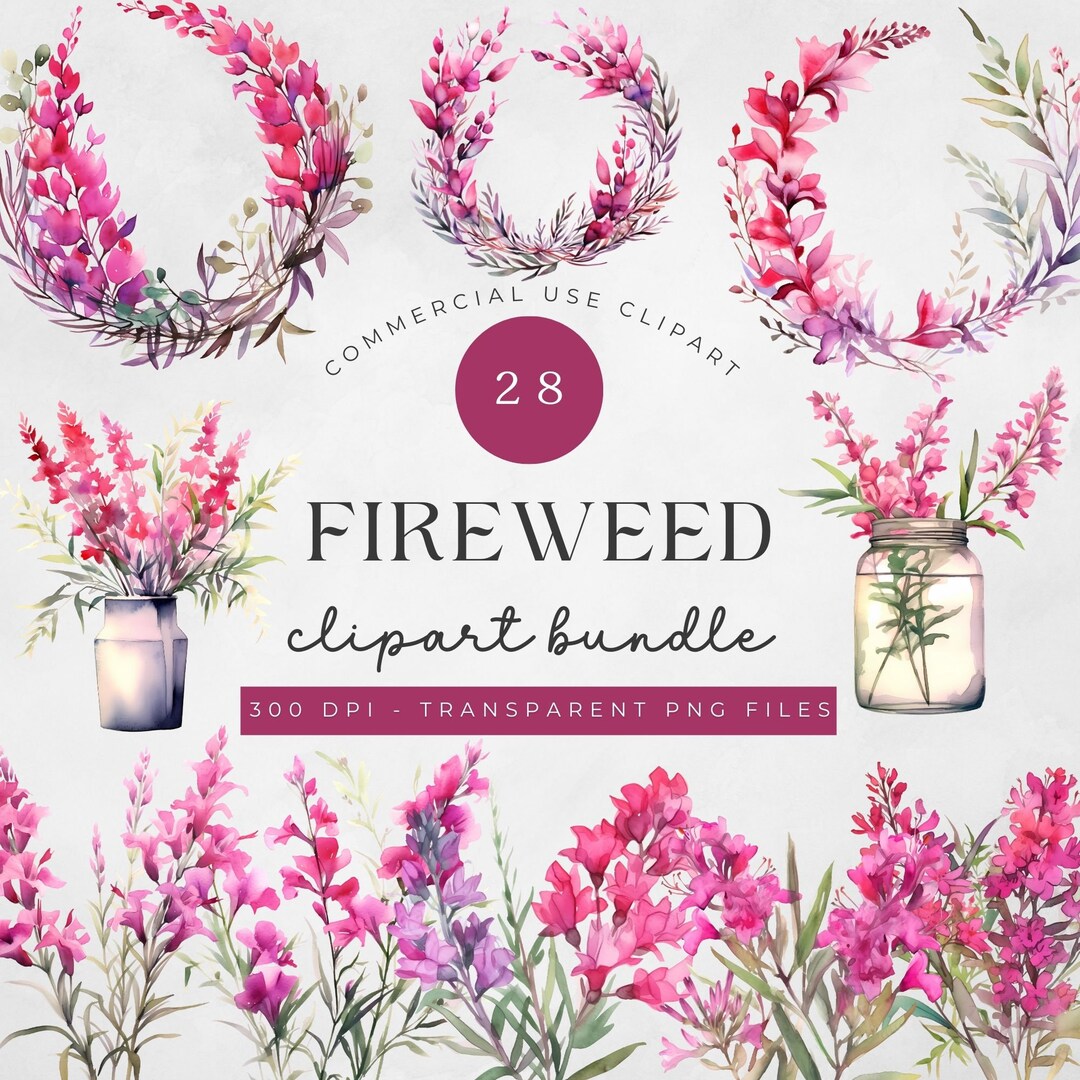 Watercolor Fireweed Flowers Clipart - Floral Alaskan Flowers and ...