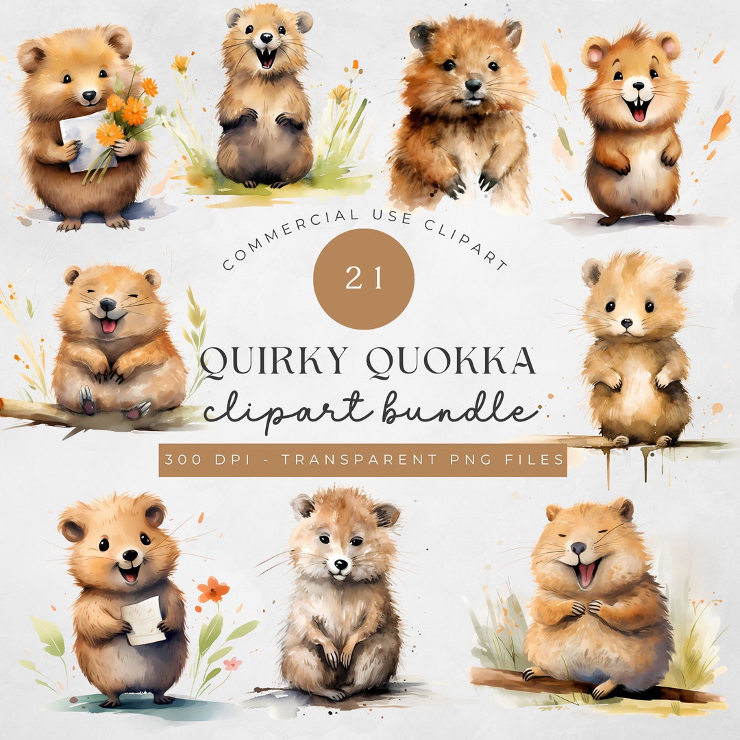 Watercolour Quokka Clipart Bundle, 21 Transparent Isolated PNG 300 Dpi ...