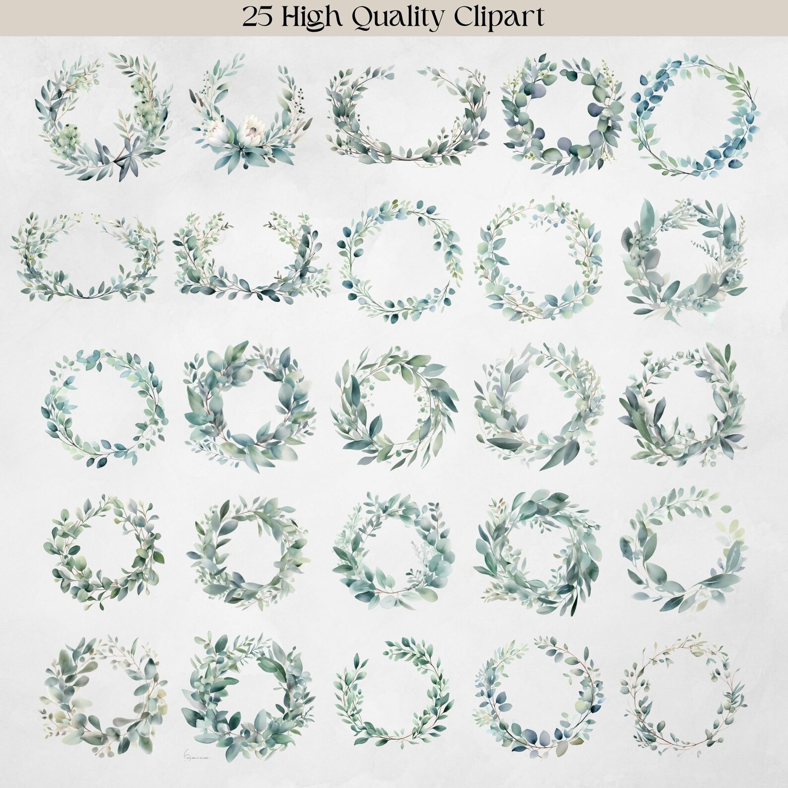 Eucalyptus PNG, Watercolor Eucalyptus Clipart Bundle, Greenery Clipart ...