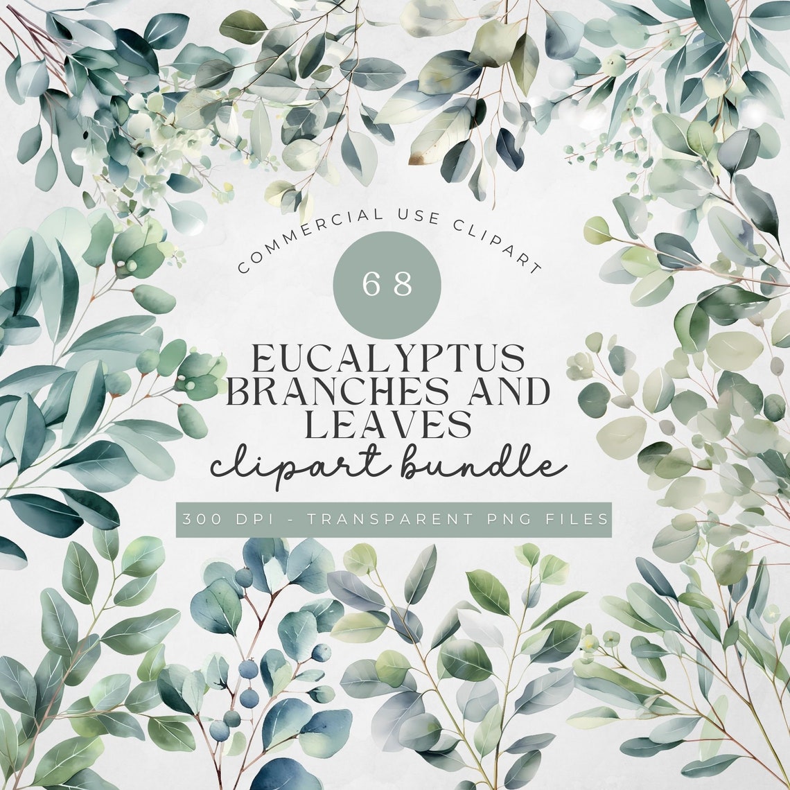 Eucalyptus Branch Png, Watercolor Eucalyptus Clipart Bundle, Greenery ...