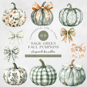 Watercolor Pumpkins and Bows Clipart Bundle Coquette Pumpkins Fall Sage ...