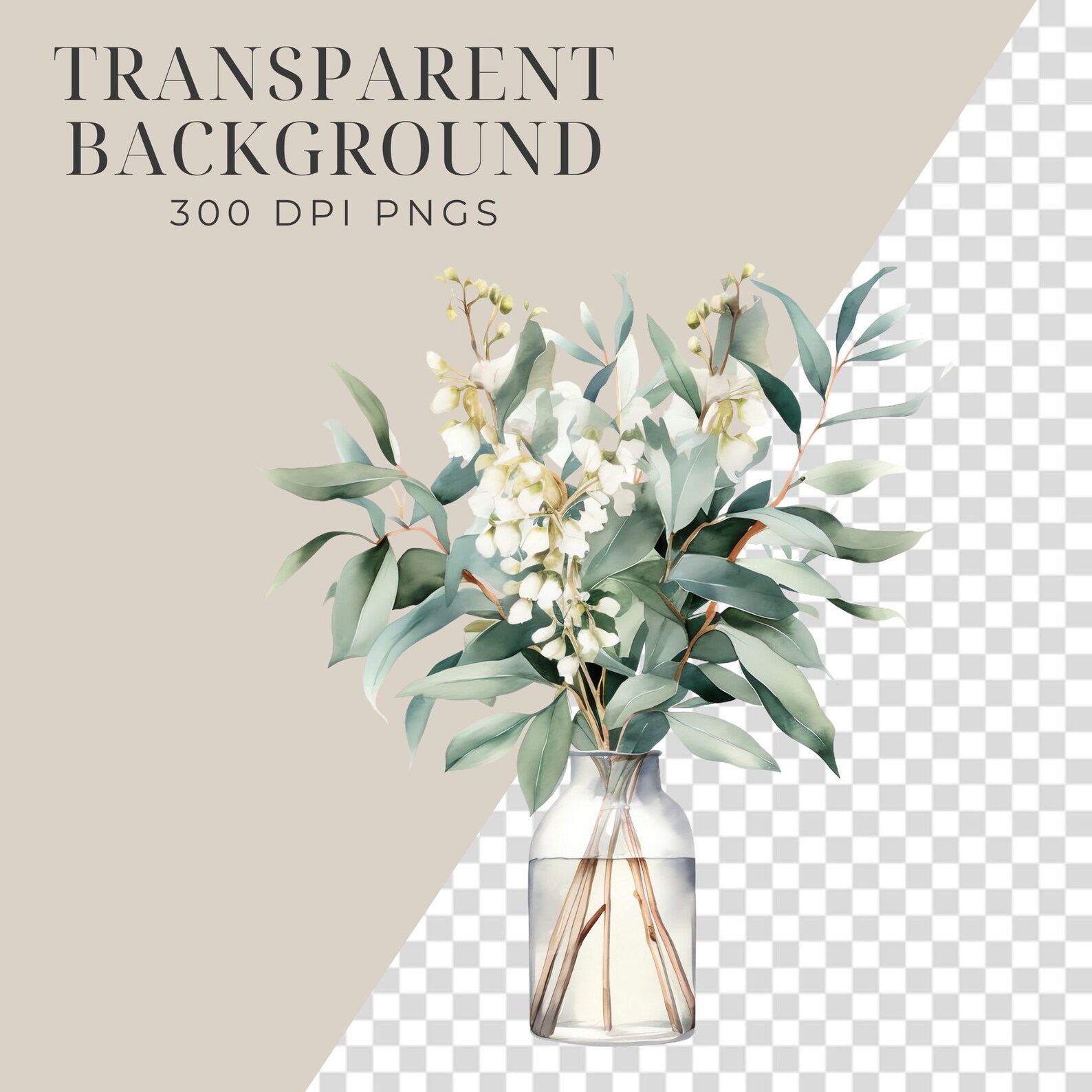 Eucalyptus PNG, Watercolor Eucalyptus Clipart Bundle, Greenery Clipart ...