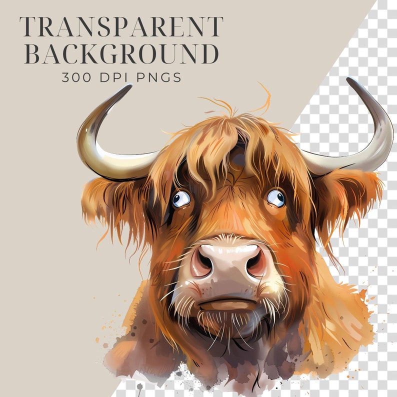 Quirky Highland Cow PNG Clipart Bundle Whimsical Cow Sublimation Clip ...